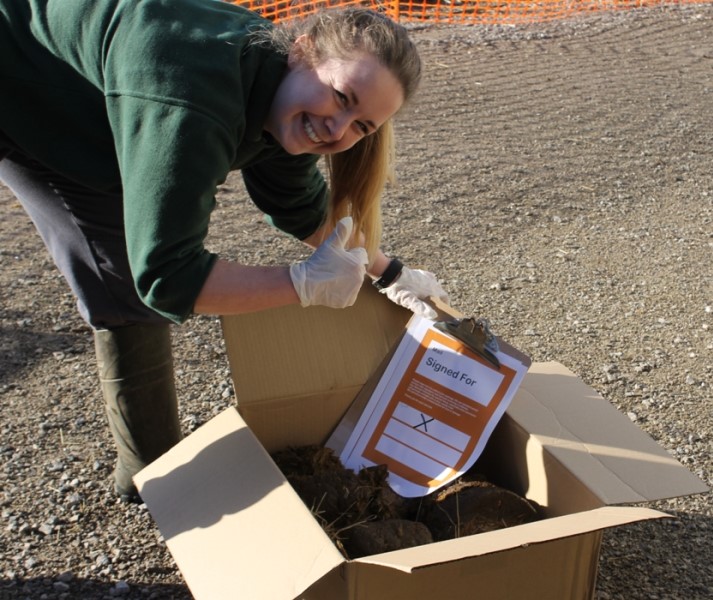 Smelly send-off as elephants pack trunks - JMU Journalism