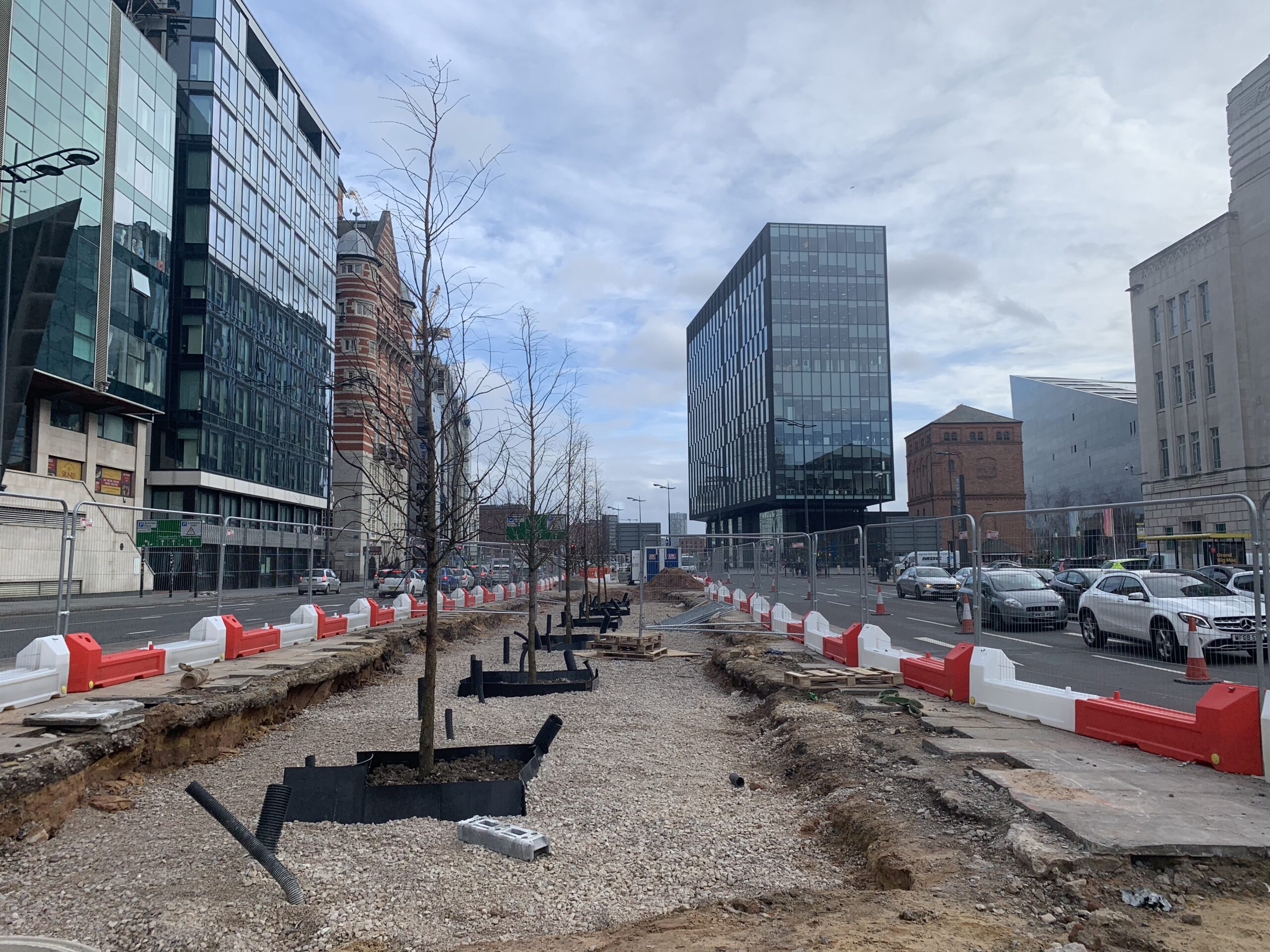 Trees project begins on Strand in city centre - JMU Article